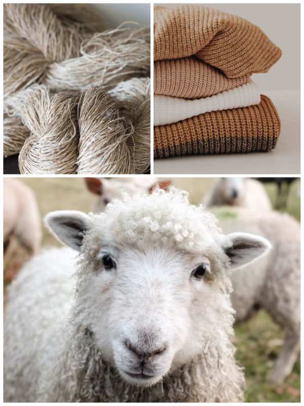 Sheep Wool Products